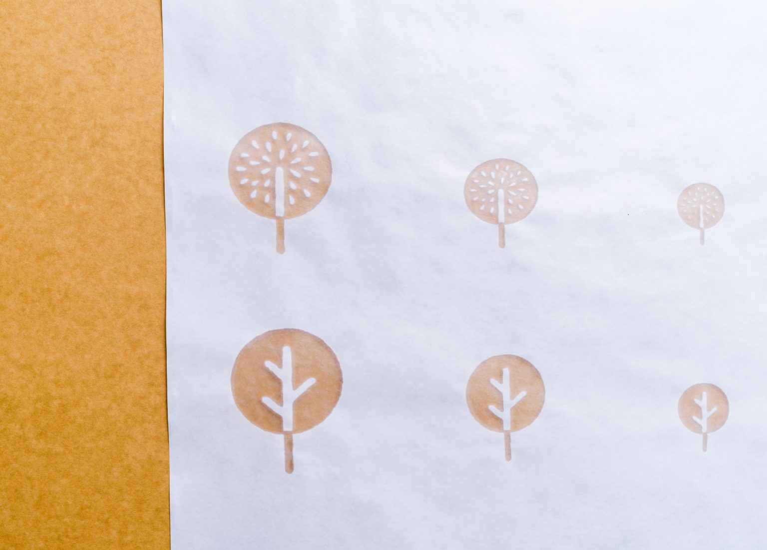 All紙製の透明窓付き紙袋『紙xエコ 紙エール』 Paper And Green 紙と創る、ひとつ先の未来。